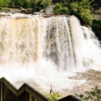 Things to Do in Tucker County, WV: Outdoor Adventures, Dining & Arts