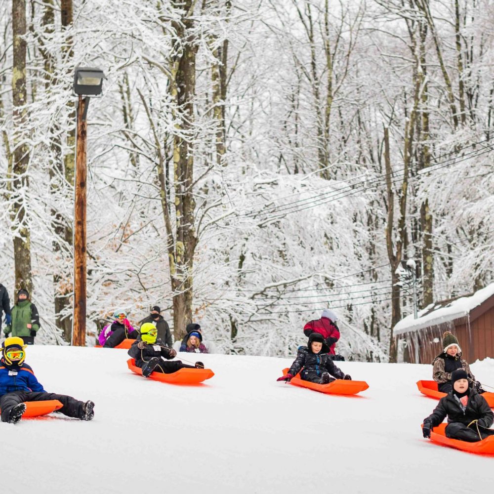 Things to Do in Tucker County, WV: Outdoor Adventures, Dining & Arts