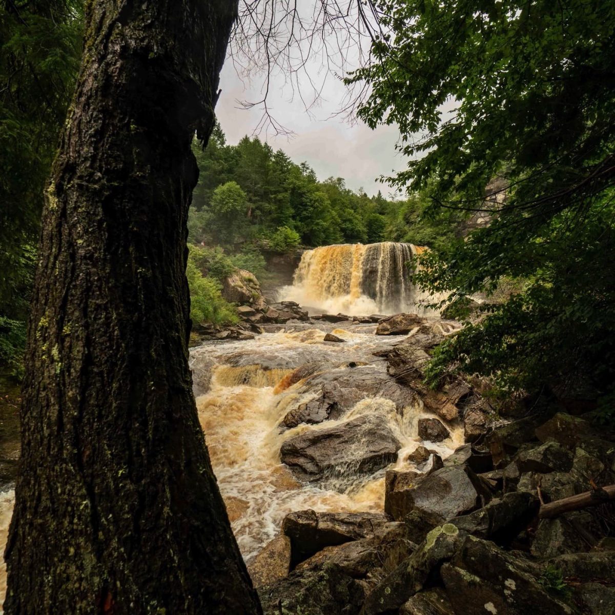 National Plan Your Vacation Day; Tucker County, West Virginia - Canaan ...