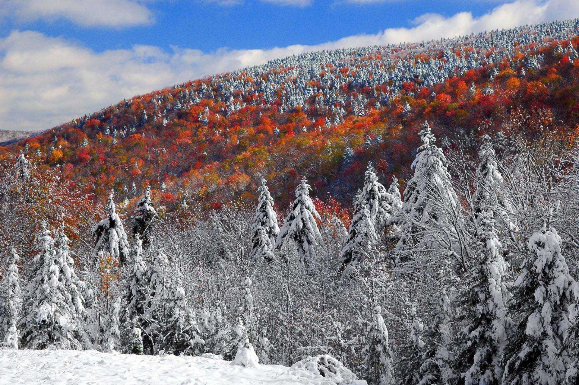 Fall is for Photographers - Canaan Valley, WV