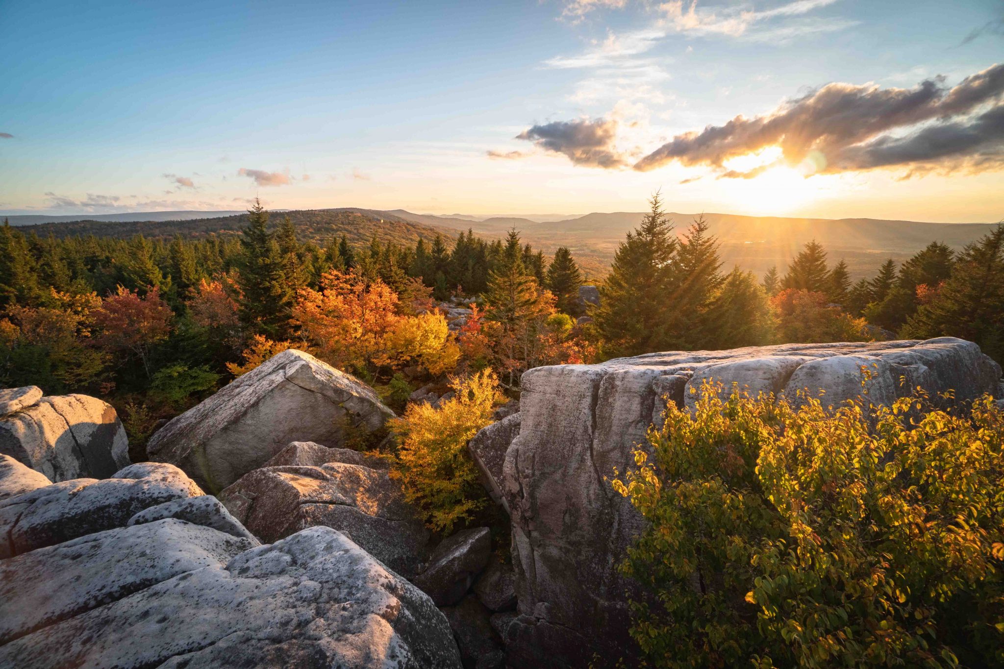 Dolly Sods Wilderness - Canaan Valley, WV